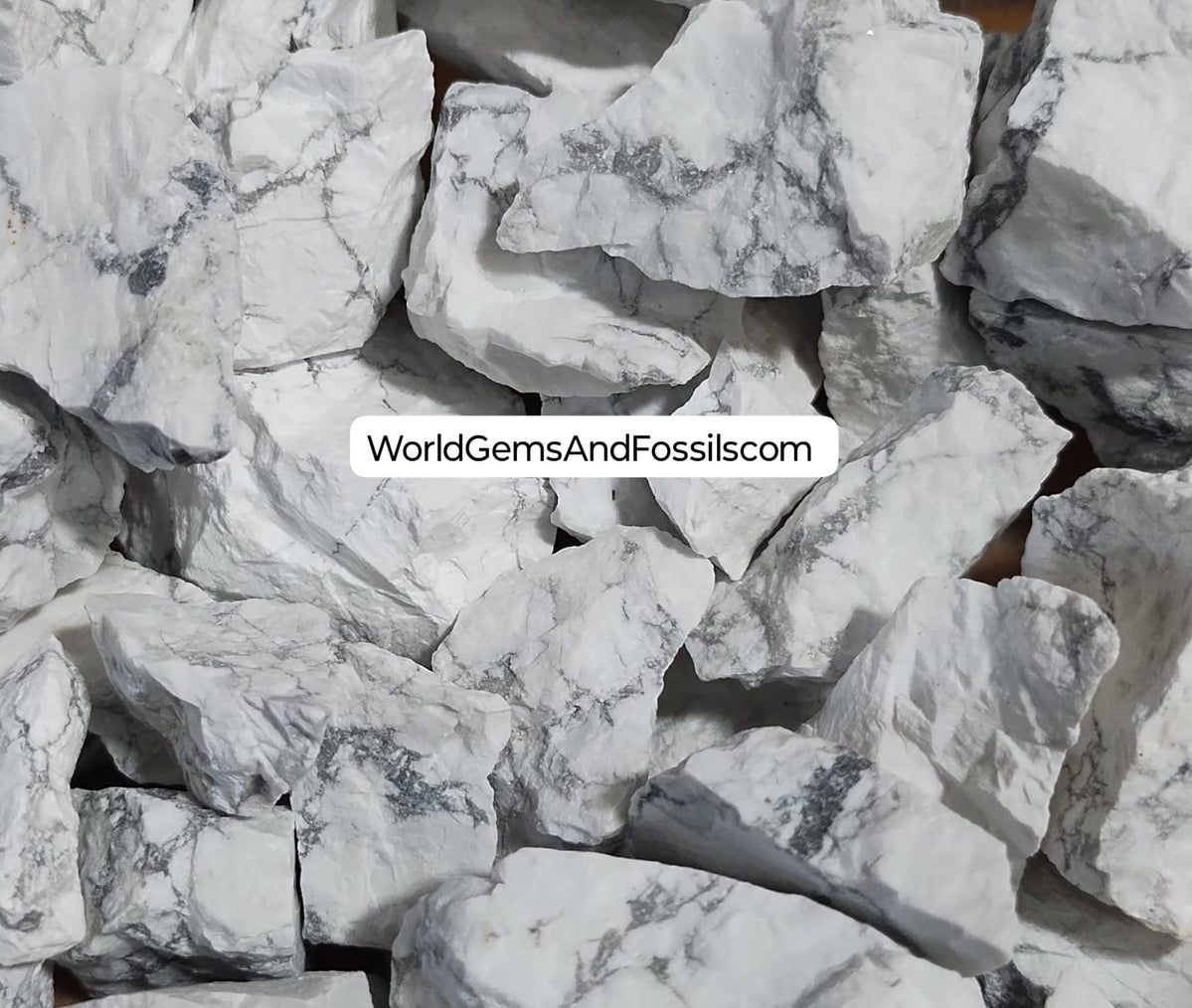 White Howlite Rough Stone 1 lb — World Gems And Fossils
