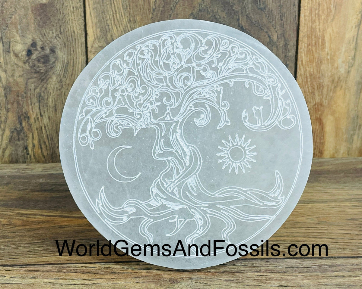 Selenite Tree Of Life Plate Circle 6" Box/40Pcs — World Gems And Fossils