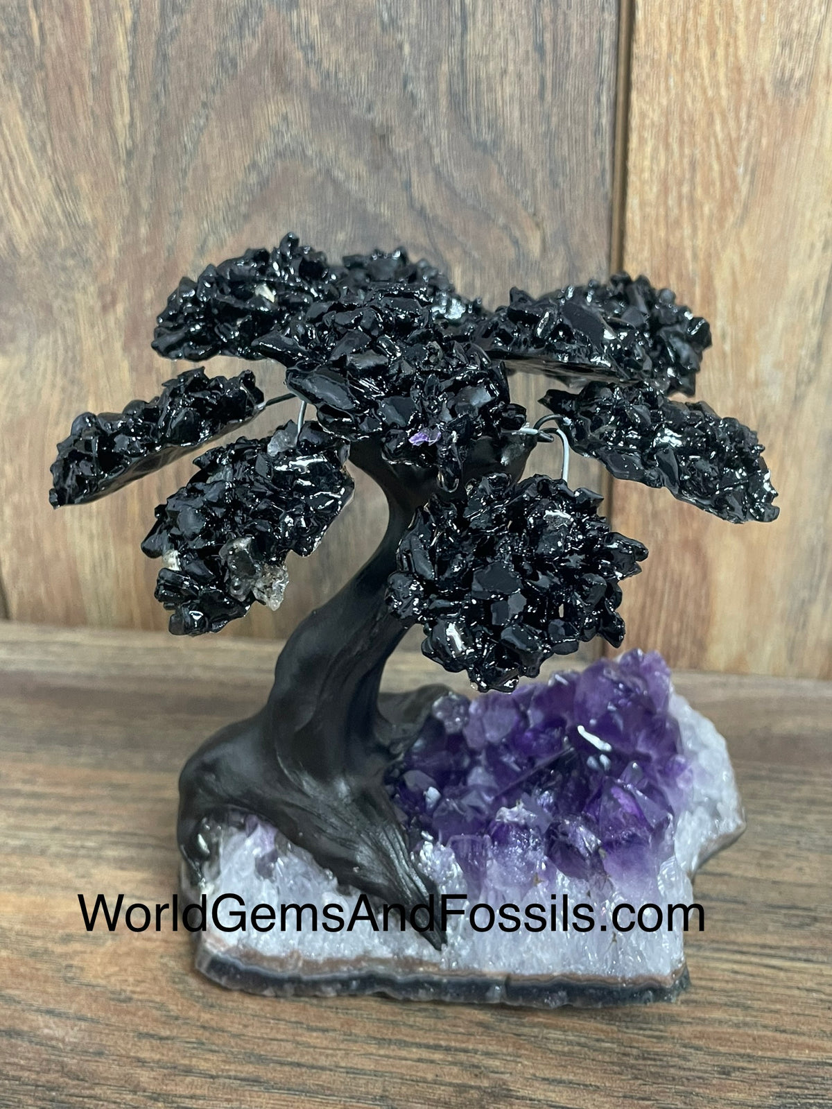 Black Tourmaline Tree On Amethyst Base #3 — World Gems And Fossils