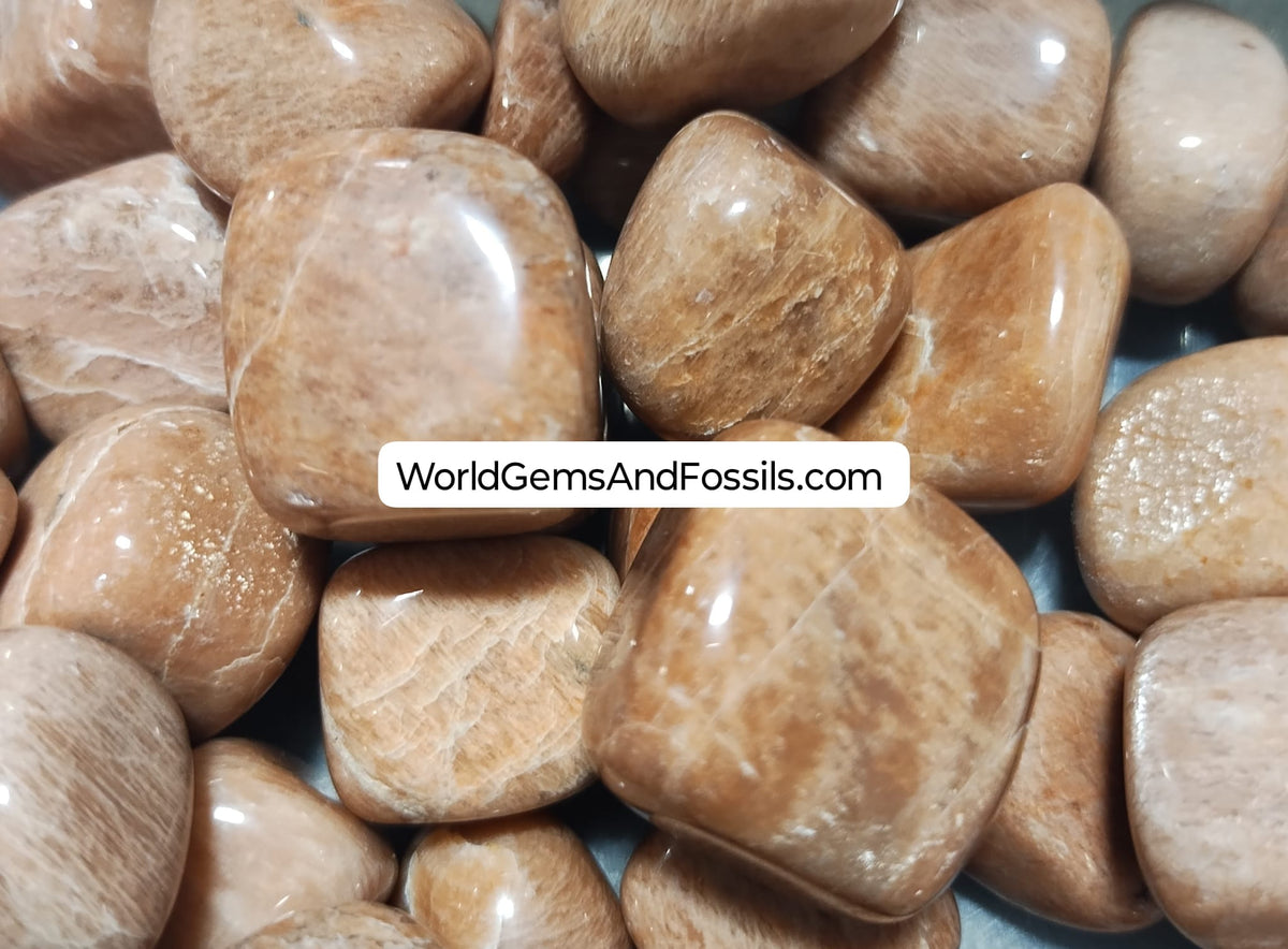 Peach Moonstone Tumbled Stone 1 lb — World Gems And Fossils