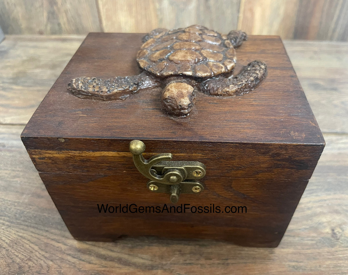 Turtle Jewelry Box — World Gems And Fossils