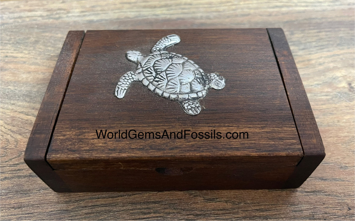 Turtle Jewelry Box Silver — World Gems And Fossils