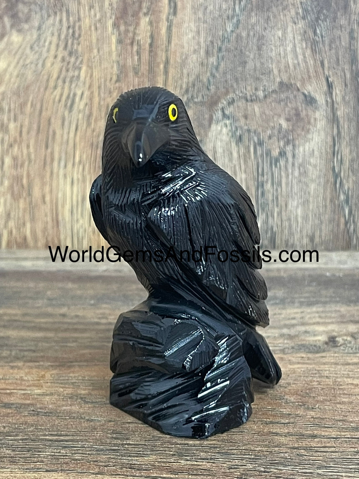 Raven Bird — World Gems And Fossils