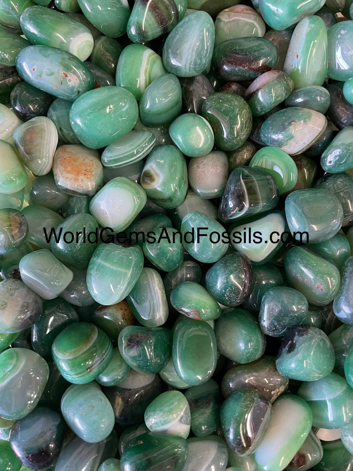Green Agate Tumbled Stones 1 lb — World Gems And Fossils