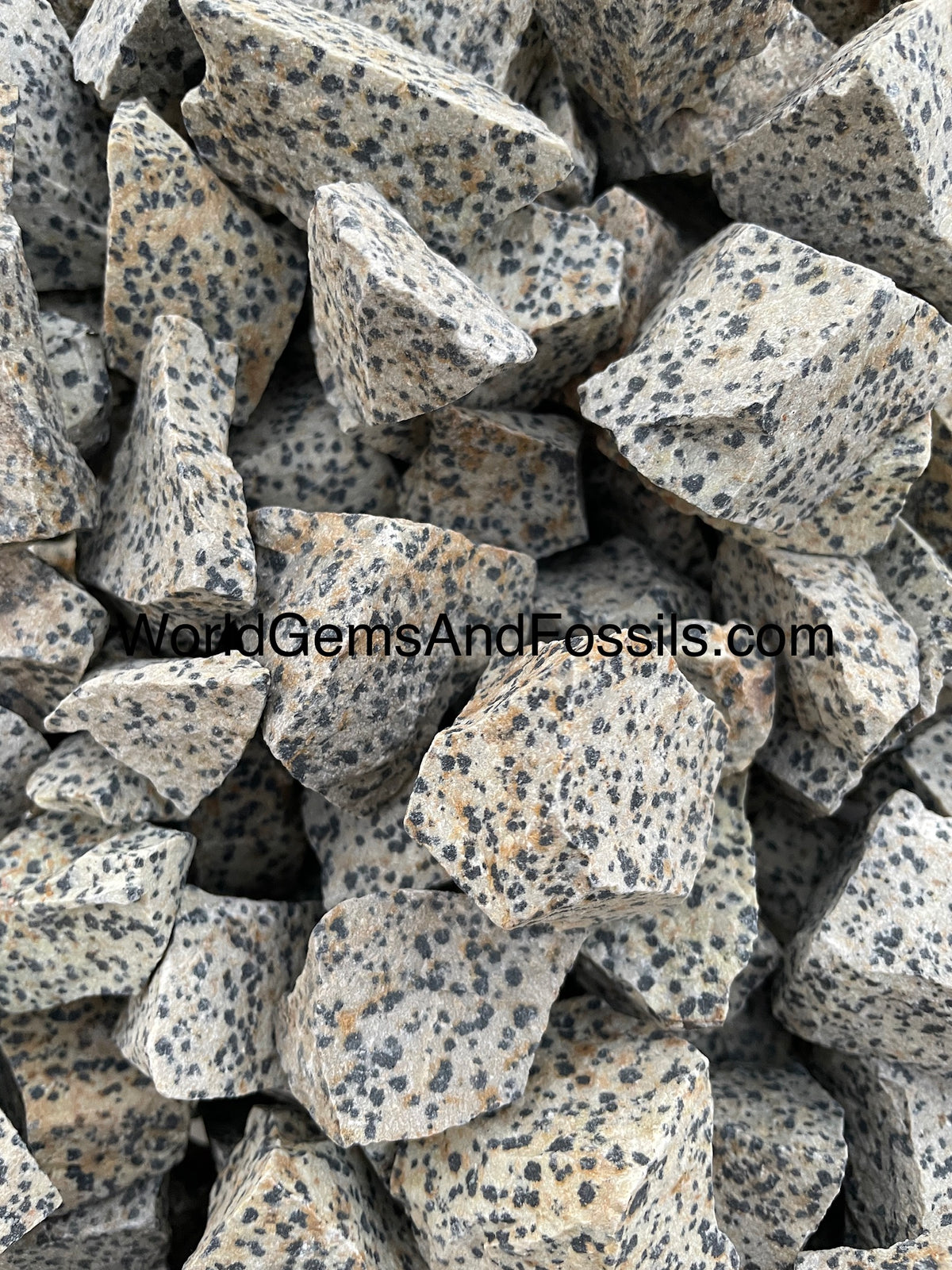 Dalmatian Rough Stone 1 lb — World Gems And Fossils