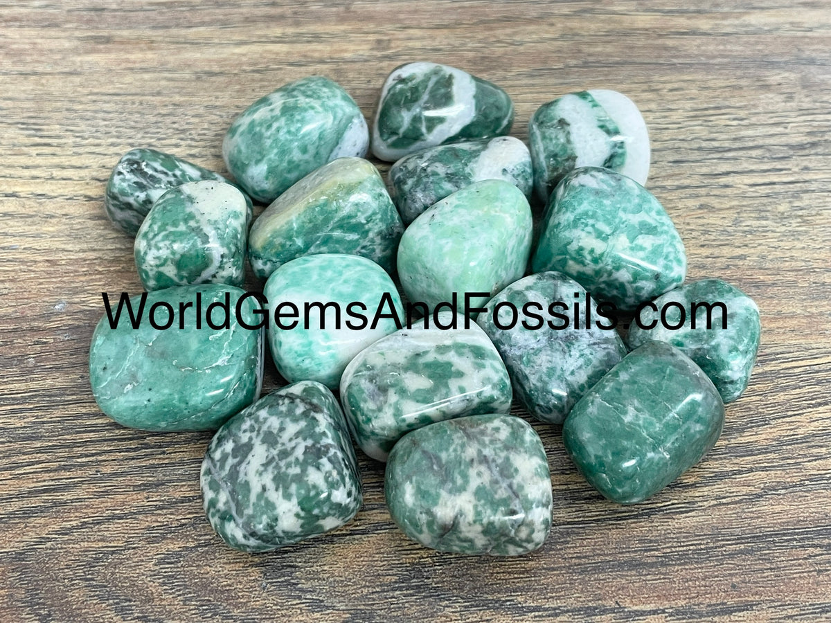 Spotted Jade Tumble Stone 1lb — World Gems And Fossils
