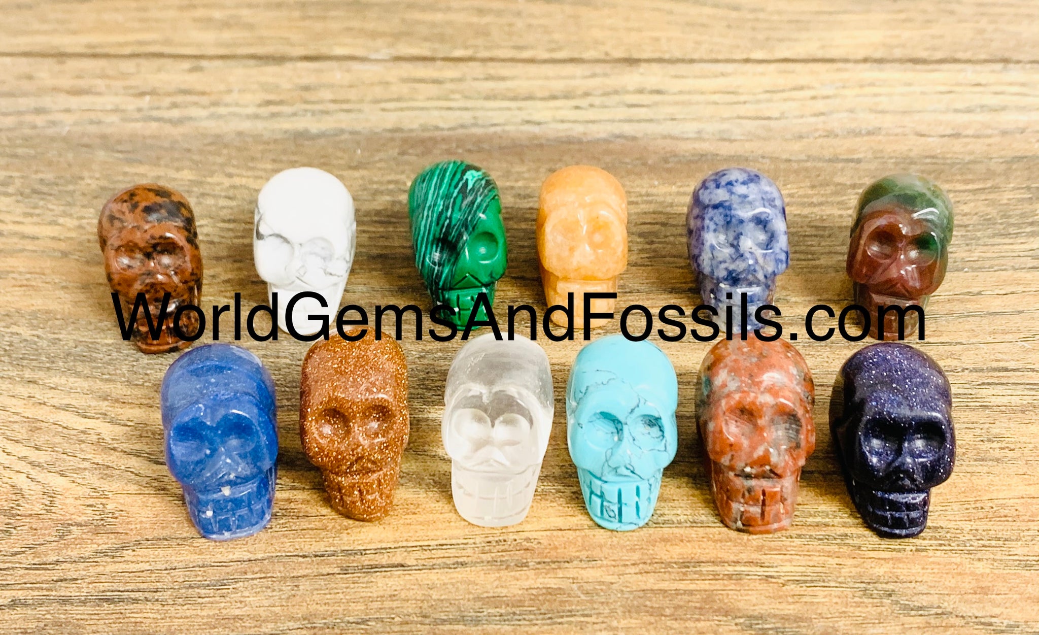 Skulls — World Gems And Fossils