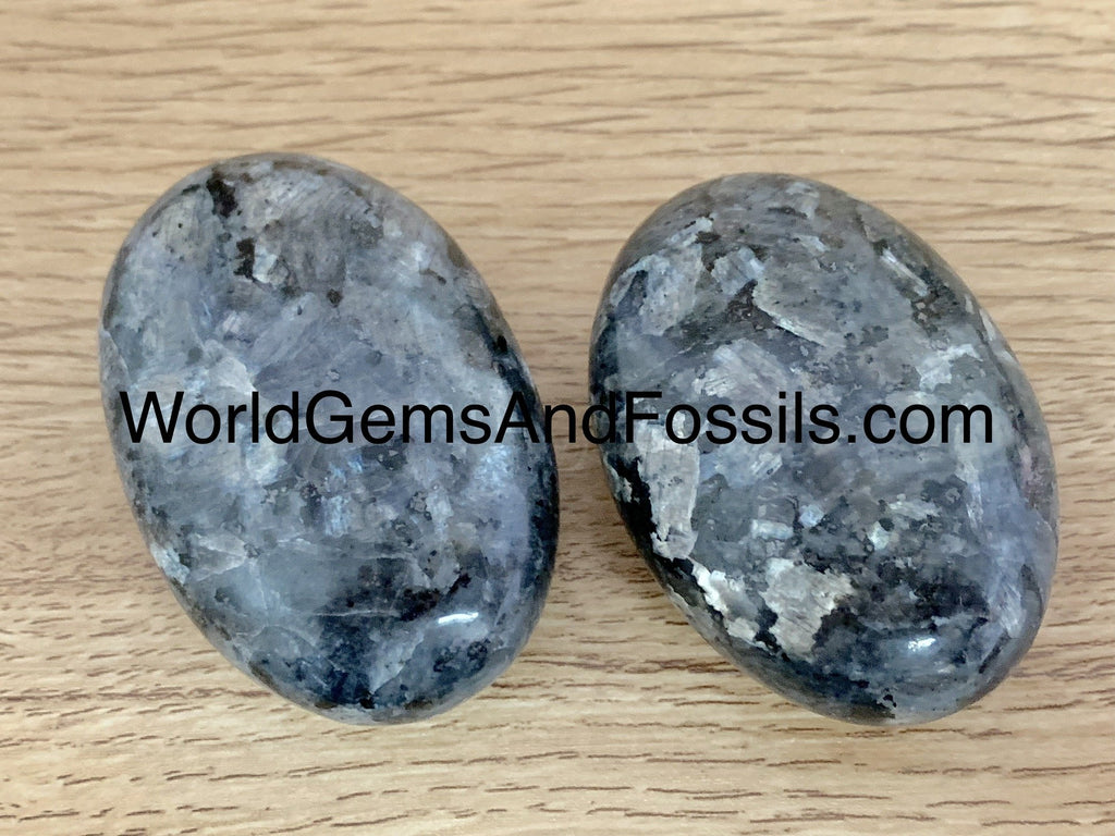 Palm Stones — World Gems And Fossils