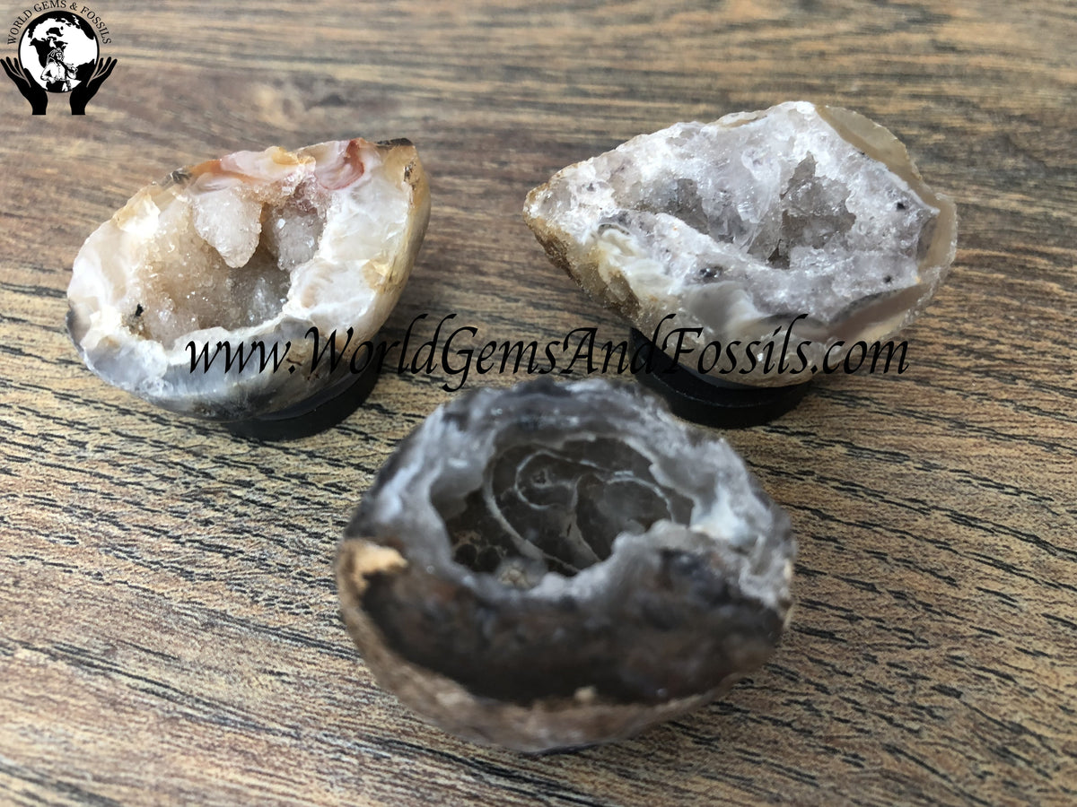 Ocos Geode Magnet — World Gems And Fossils