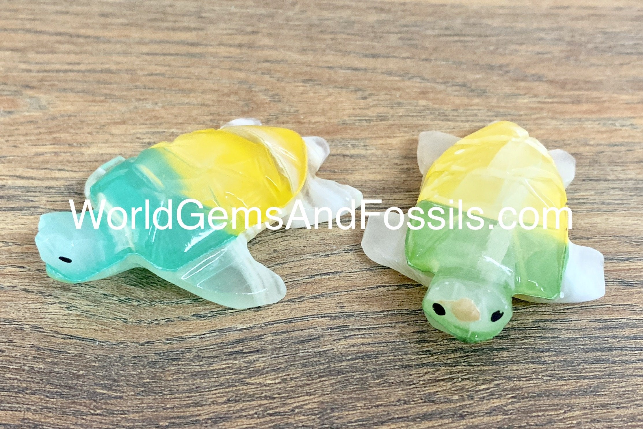 Onyx Rainbow Animals