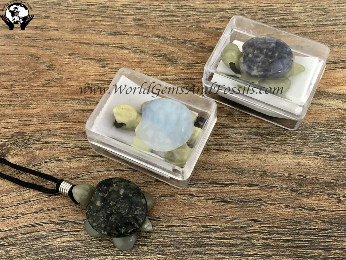 Turtle Necklace — World Gems And Fossils